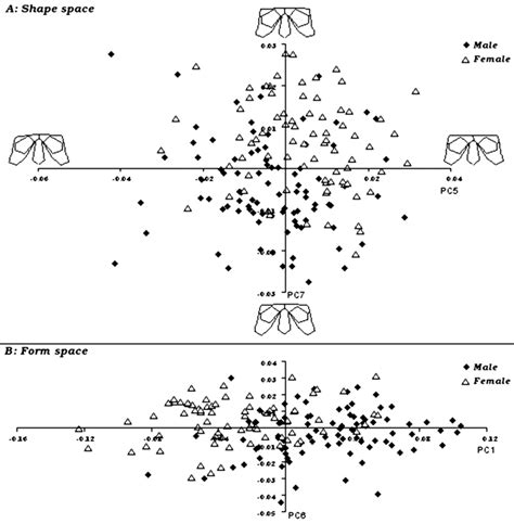 Plots Of Principal Components Of Pca In Upper Face A Shape Space B Download Scientific