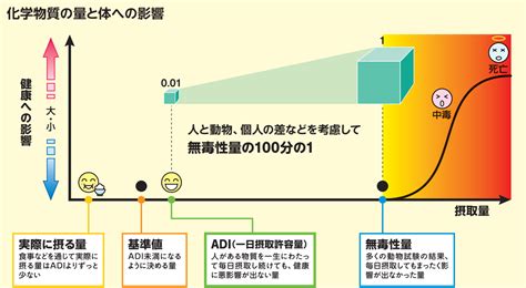 【食品添加物】の本を14冊を読んで分かった付き合い方の指針｜130歳カフェ