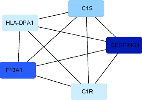 Top 5 Genes In Ppi Network Were Distinguished By Mcc Algorithm Of Download Scientific Diagram