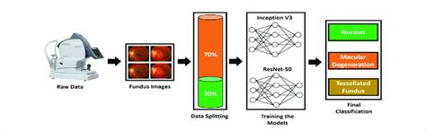 Proposed Framework To Classify Fundus Images A Domain Specific Image Download Scientific