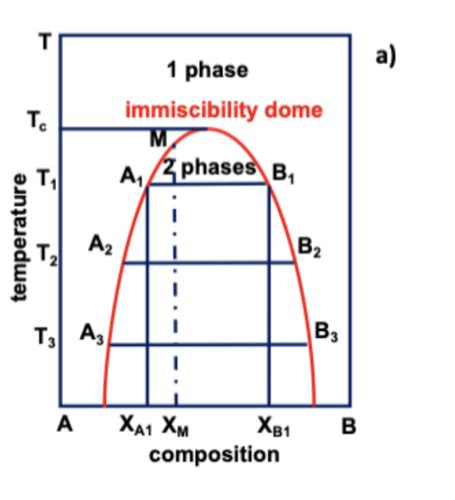 Glass Ch 3 Glass Microstructure Phase Separation And Liquid Immiscibility Karteikarten Quizlet
