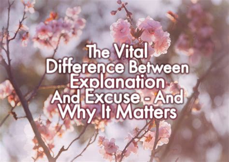 The Vital Difference Between Explanation And Excuse And Why It Matters Perception Trainers