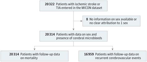 Jama Network Open On Linkedin Sex Differences In Frequency Severity And Distribution Of Cerebral