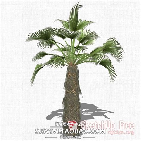 1062 Tree Sketchup Model Free Download Sketchup Model Tree Free Download