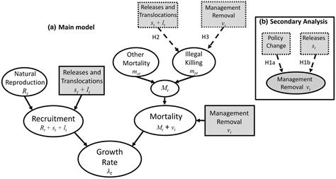 Factors Affecting The Recovery Of Mexican Wolves In The Southwest United States Breck 2023