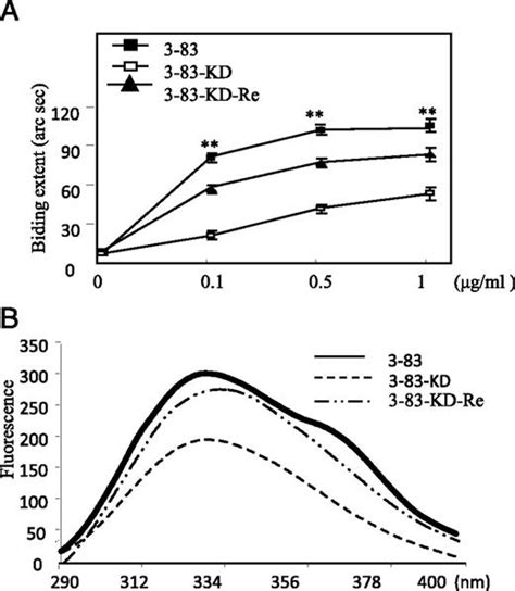 Core Fucosylation Of Igg B Cell Receptor Is Required For Antigen