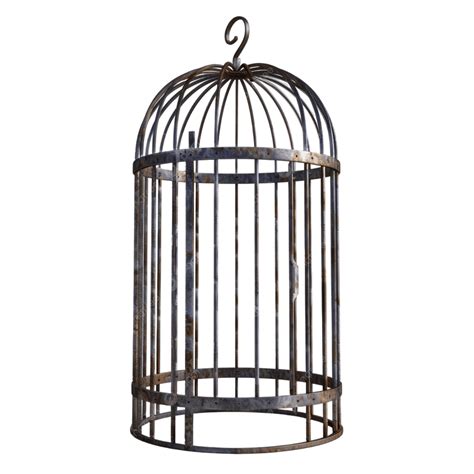 Dome Top Bird Cage Image The Graphics Fairy