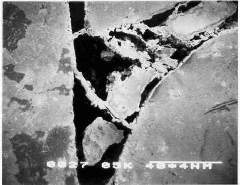 Kamran M Nemati A New Method To Observe 3 D Fractures In Concrete