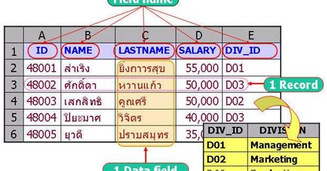 การออกแบบระบบงานฐานข้อมูลด้วย Excel ~ ซ่อมคอมพิวเตอร์นอกสถานที่ บางกะปิ รามคำแหง