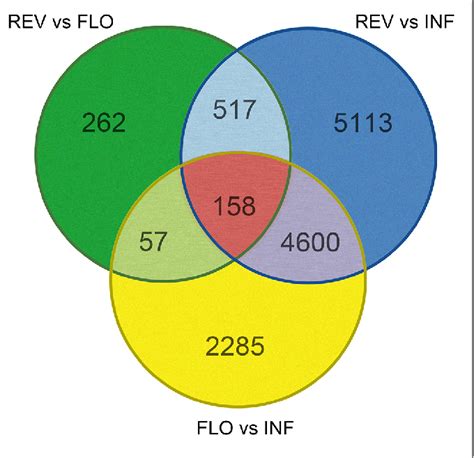 Figure 3 From Using Transcriptome Analysis To Identify Genes Involved In Switchgrass Flower