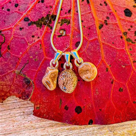 Fall 018 Petoskey Stone Charlevoix Stone Petoskey Stone Necklace