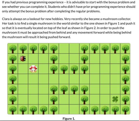 Solved If You Had Previous Programming Experience It Is