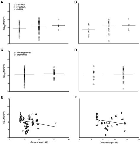 Nucleotide Substitution Rates And Ecological Properties Of Mammalian Download Scientific
