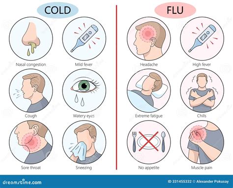 Comparison Of Cold And Flu Symptoms Medical Stock Illustration Illustration Of Illness