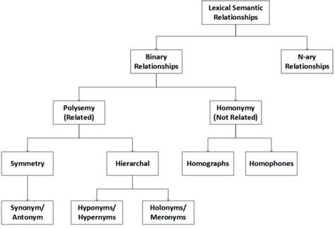 Hierarchy Of Binary Semantic Relationships Download Scientific Diagram