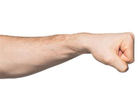 Hand With Clenched A Fist Royalty Free Stock Image Hand Reference