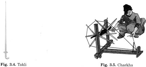 NCERT Solutions For Class Science Chapter Fibre To Fabric