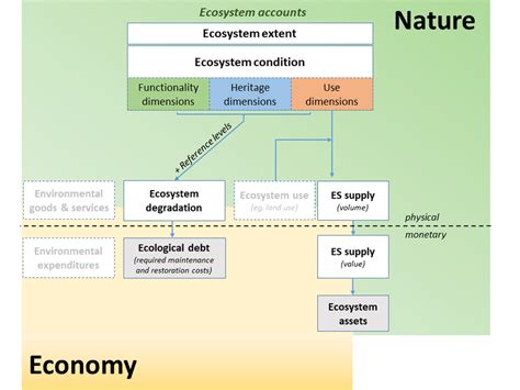 Structure Of The Accounts Derived From An Ecosystem Monitoring Download Scientific Diagram