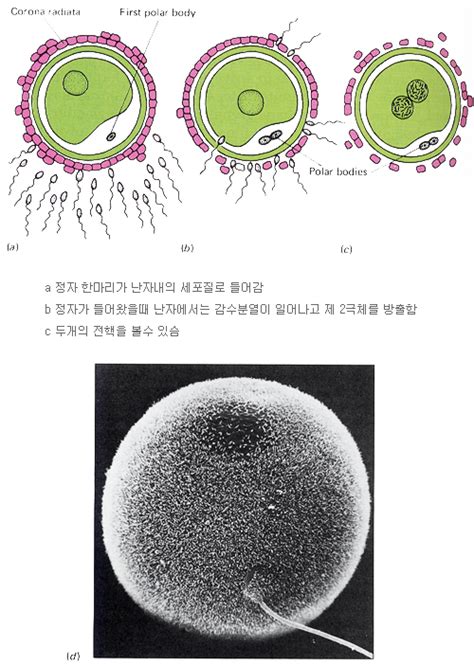 Untitled Document Kr