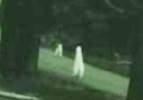 15 Mysterious Cryptids And Their Most Infamous Photos Ebaums World
