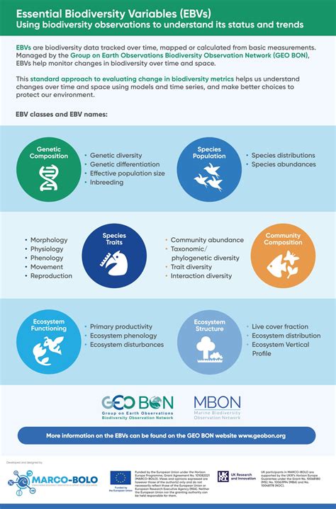 Eovsebvs Infographics Marco Bolo