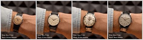 ¿cuál Es El Tamaño De Reloj Adecuado Para Mi Muñeca Goldammer