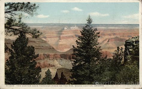 The Canyon Seen Through Pines On The Rim Grand Canyon National Park Az