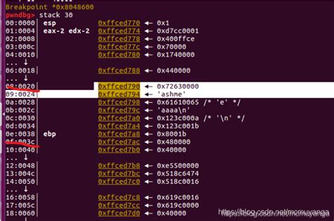 Buuctf Pwn——ezpzhackover2016 Csdn博客