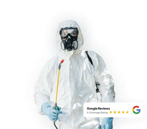 About Us Nsw Pest Control Sydney