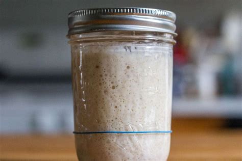 Sourdough Starter Recipe Hk