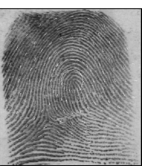 figure 5 from fingerprint subclassification using rotation invariant
