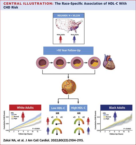 Race Dependent Association Of High Density Lipoprotein Cholesterol