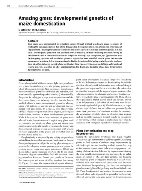 Pdf Amazing Grass Developmental Genetics Of Maize Domestication