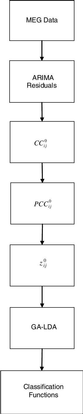 Meg Data Processing Flowchart Raw Meg Data Are Initially Download