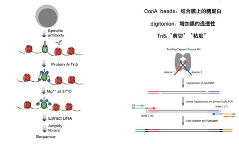 中山大学中山眼科中心仪器共享平台 首页