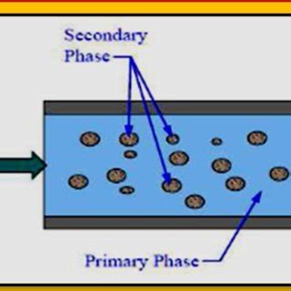 (PDF) Multiphase /Multicomponent and Multiscale Flows with Case Studies