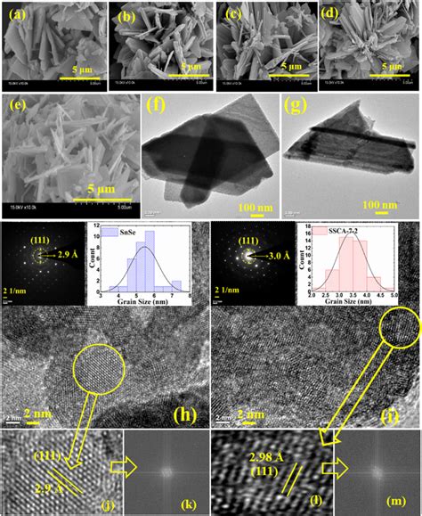 Sem Images A Ss B Ssc 7 C Ssca 7 1 D Ssca 7 2 And E Download Scientific Diagram