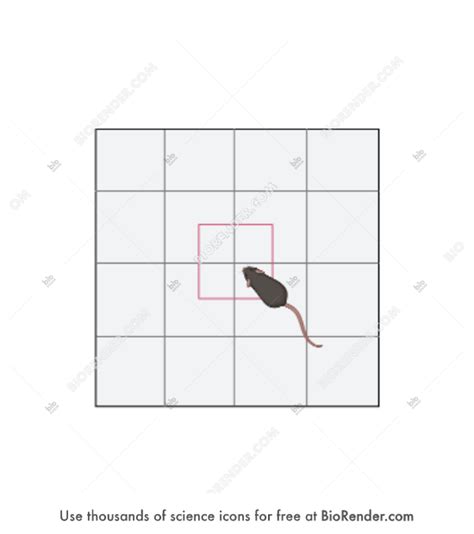 Free Mouse Open Field Test Icons Symbols Images BioRender