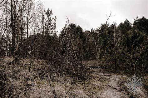Tree Teepee By Snoowie9 On Deviantart