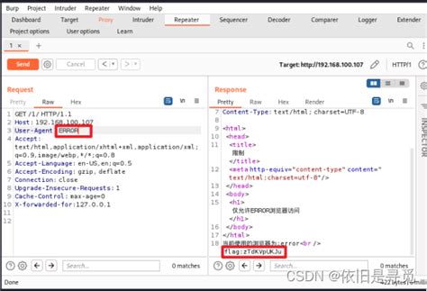 2021年江西省 网络安全”赛题b 10网页渗透—21 Csdn博客