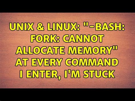 Unix Linux Bash Fork Cannot Allocate Memory At Every Command I Enter I M Stuck YouTube