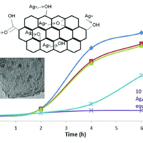 Enhanced Antibacterial Action Of Ag Cu Bimetallic Graphene Hybrids Download Scientific