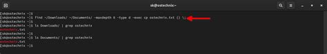 Copy A File To Multiple Directories In Command Line On Linux