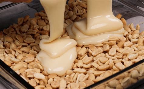 Condensed Milk And Peanut Squares Easy Recipes Life