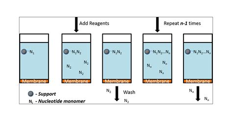 Organic Solvent Nanofiltration OSN A New Technology Platform For Liquid Phase Oligonucleotide
