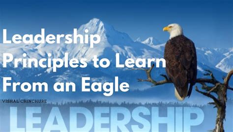 Leadership Lessons From an Eagle