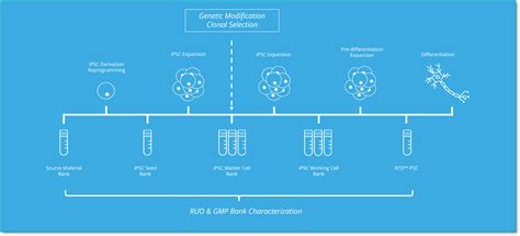 New Ngs Based Assay Stem Seq Plus Gets Peer Review Stem Genomics