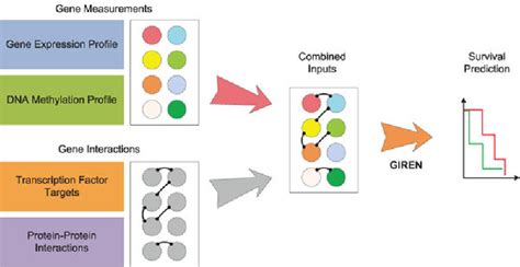 Figure 2 From Cancer Progression Prediction Using Gene Interaction Regularized Elastic Net