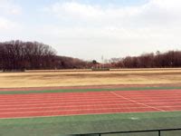 総合運動公園の完全ガイド｜レビュー・駐車場・遊具など