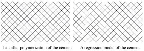 Microstructure Of The Polymethylmethacrylate Bone Cement In The Download Scientific Diagram